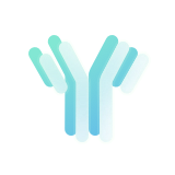 Antibody